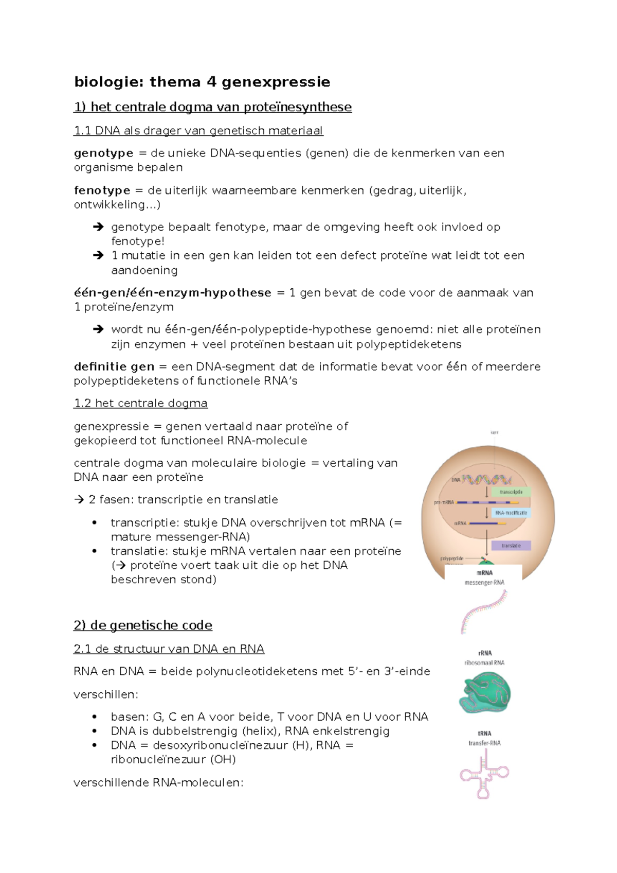 Biologie Samenvatting: Thema 4 - Genexpressie en Proteïnesynthese - Studocu