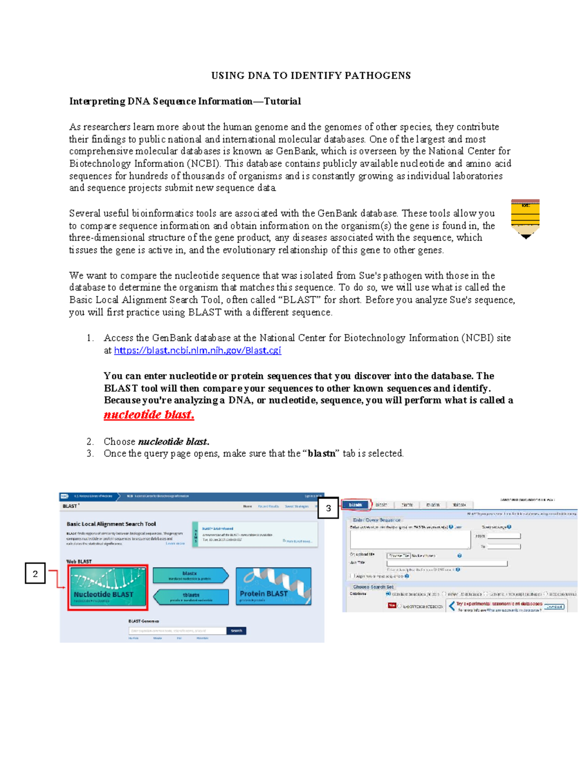 DNA Pathogen Identification Using BLAST: A Guide for 2024 - Studocu