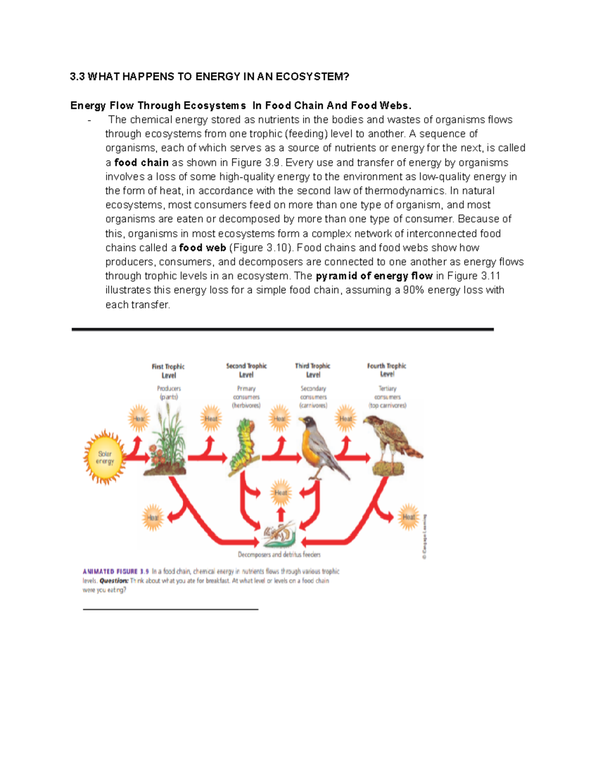 GE10 - Ge10 - 3 WHAT HAPPENS TO ENERGY IN AN ECOSYSTEM? Energy Flow ...