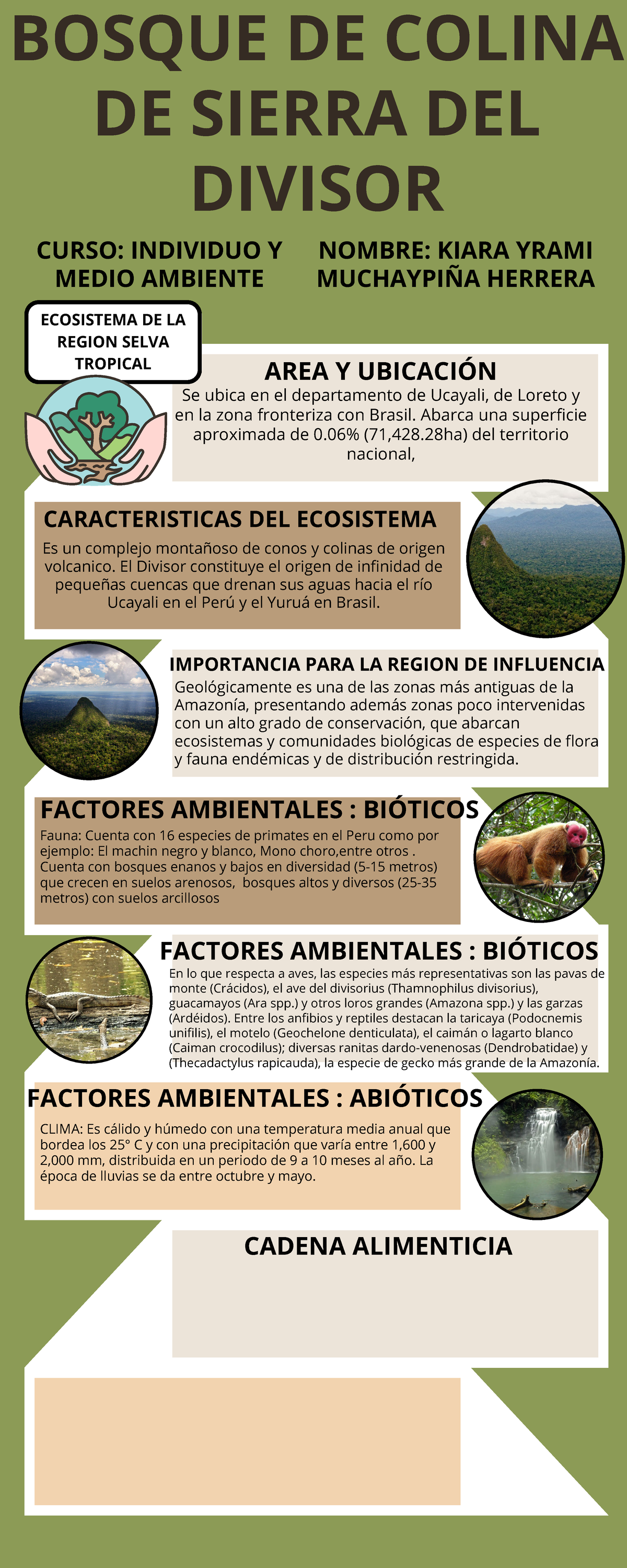 Ficha de Trabajo: Ecosistema Bosque de Colina de Sierra del Divisor ...