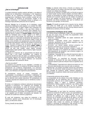 Fibroblastos - Ross. Histología: Texto Y Atlas - Fibroblastos El ...