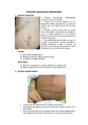 Cicatrices Abdominales - Cicatrices quirúrgicas Abdominales 1. Incisión ...