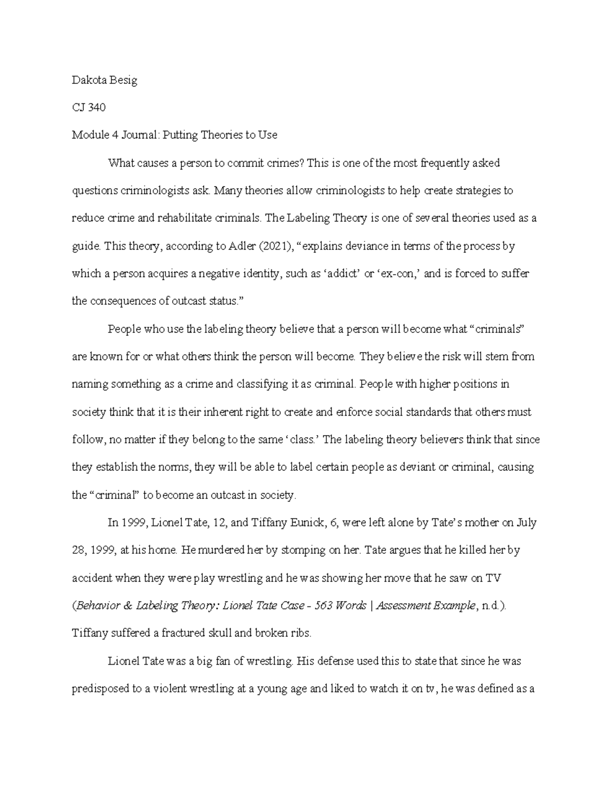 CJ 340 4-2 Journal - Dakota Besig CJ 340 Module 4 Journal: Putting ...