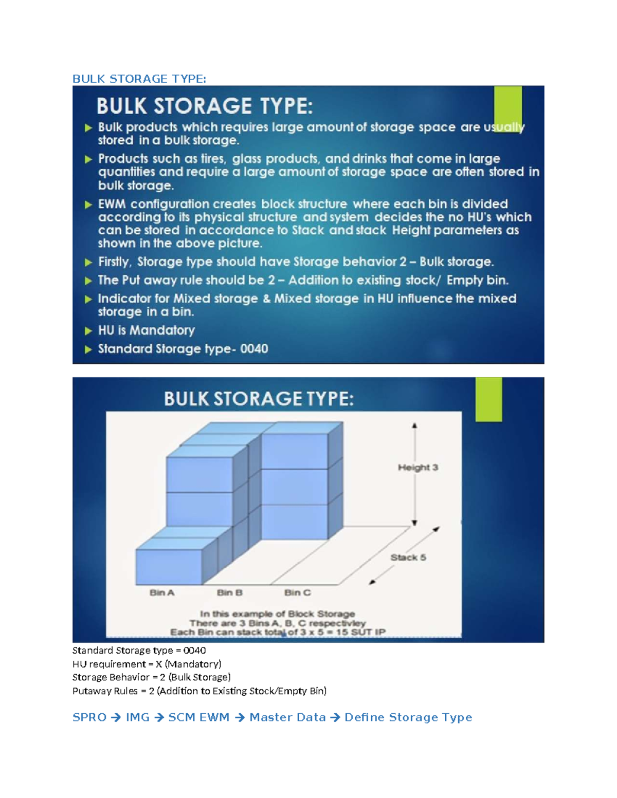 BULK STORAGE TYPE 0040: SAP EWM Guidelines & Requirements - Studocu