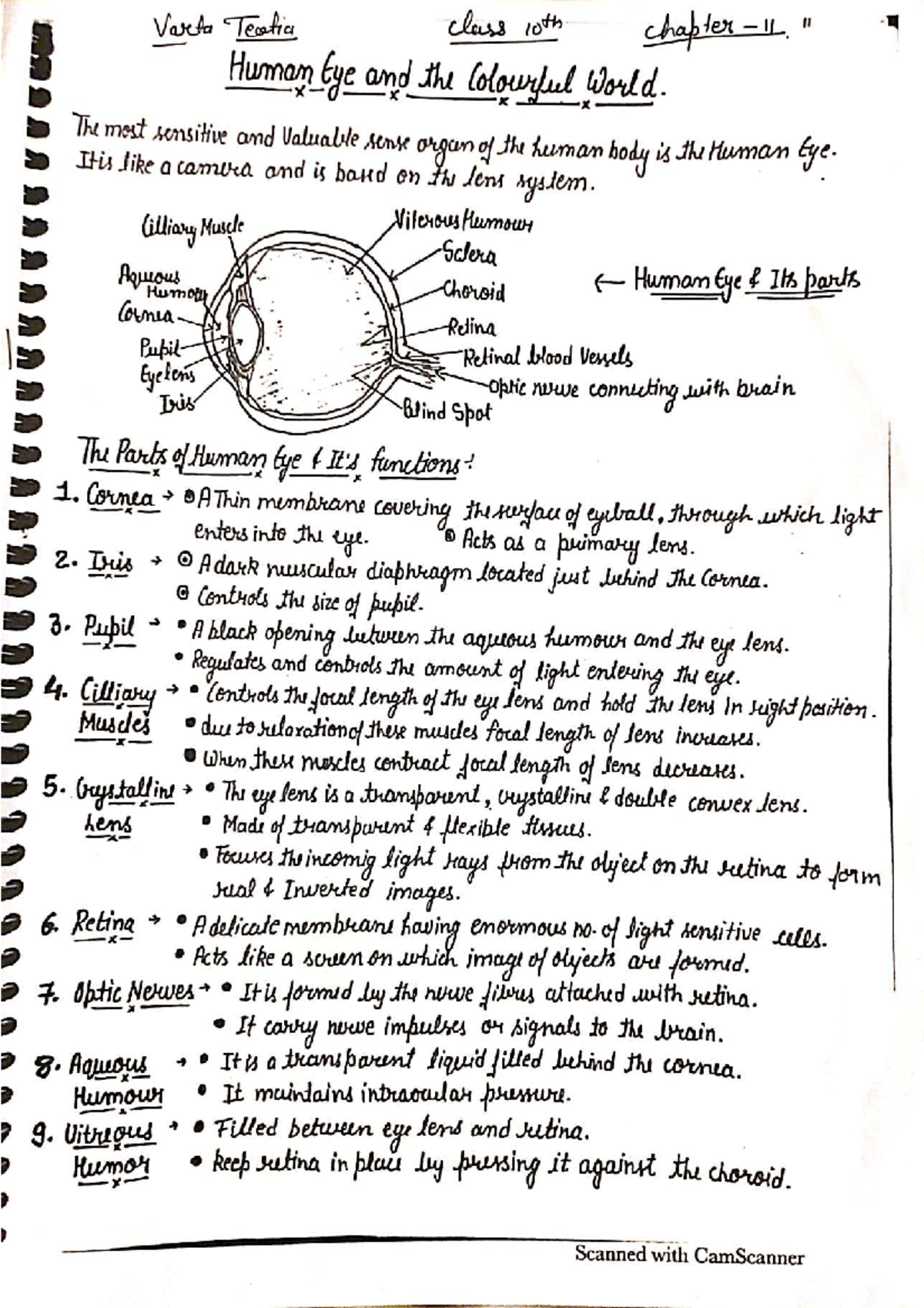 Human Eye: Chapter 11 Notes for Class 10 (Varta Teatia) - Studocu