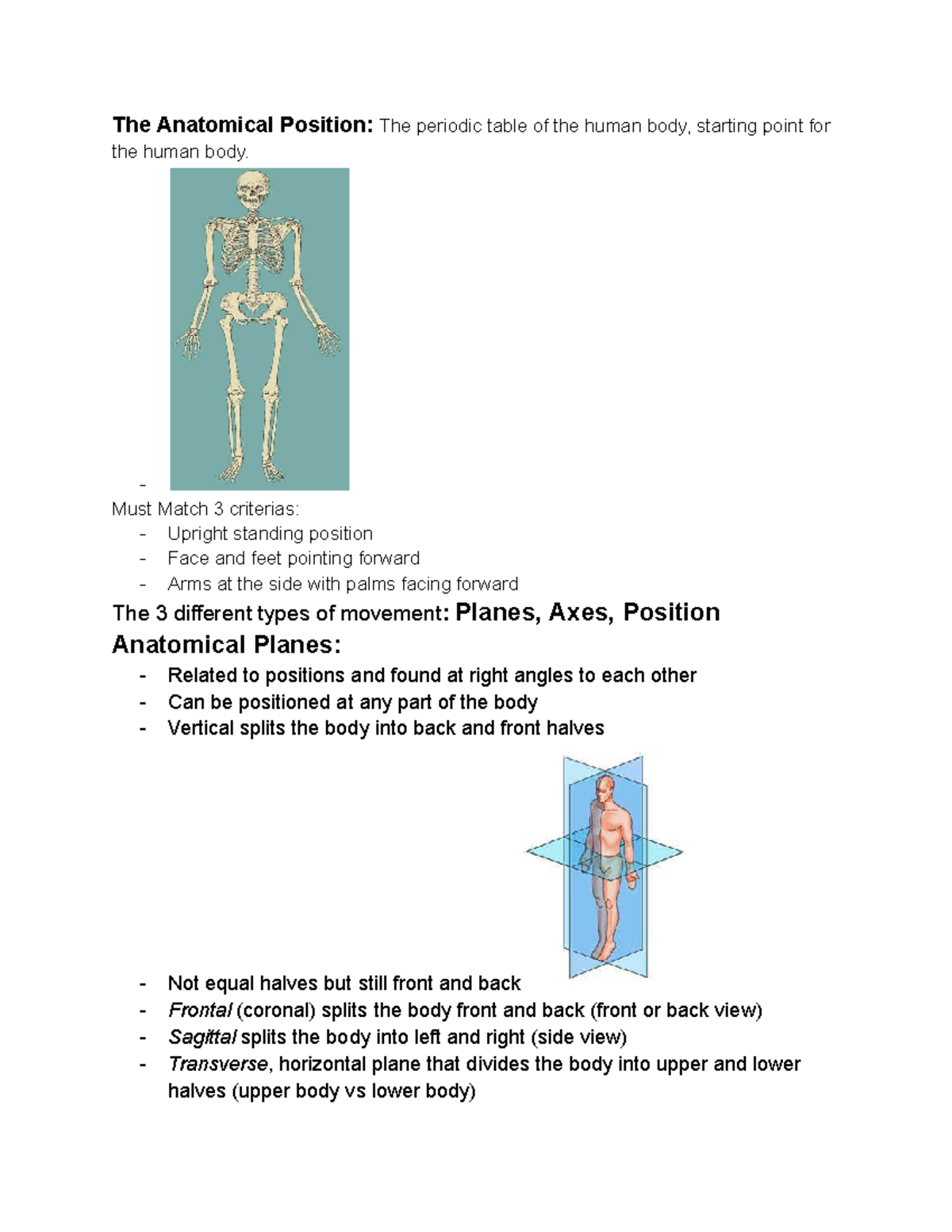 Anatomical Position & Movement: Understanding Body Planes & Axes - Studocu