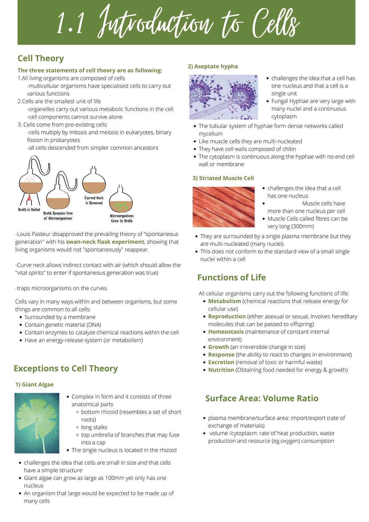 Biology N 537361410: Introduction to Cells and Cell Theory Notes - Studocu