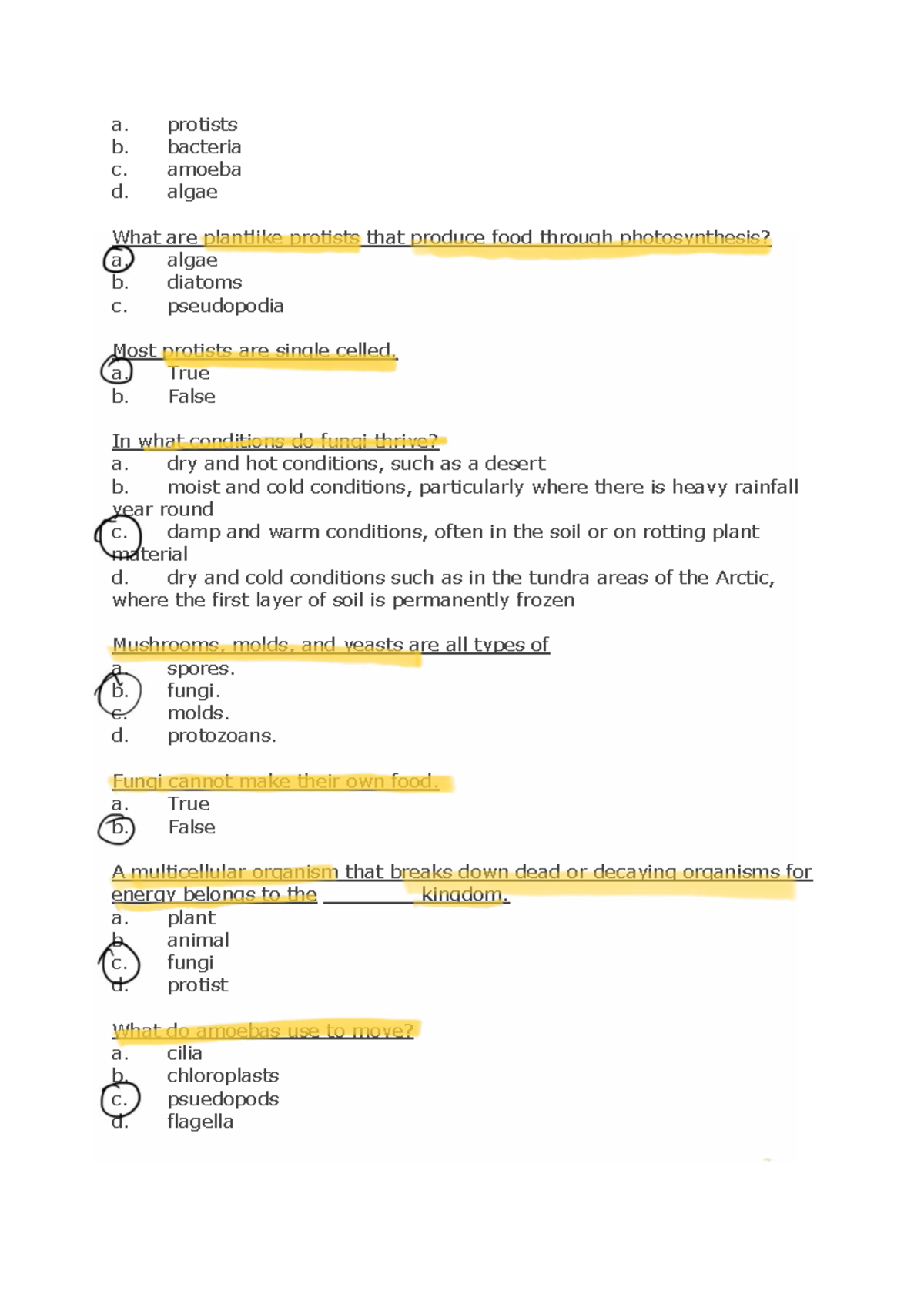 Protists and Fungi Study Guide - BIO 101 - Studocu