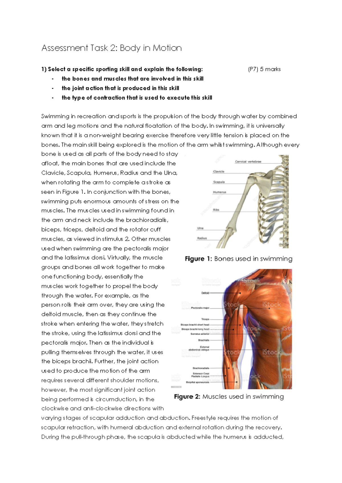 Assessment Task 2 - Anatomy and Fitness in Swimming - Studocu