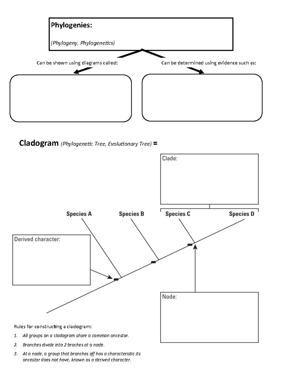 Cladogram notes - Phylogenies: (Phylogeny, Phylogenetics) Can be shown ...