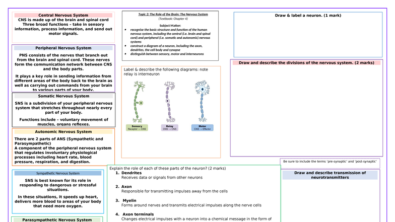 WS Graphic Organiser Unit 1: Topic 2 - Nervous System (002) - Studocu
