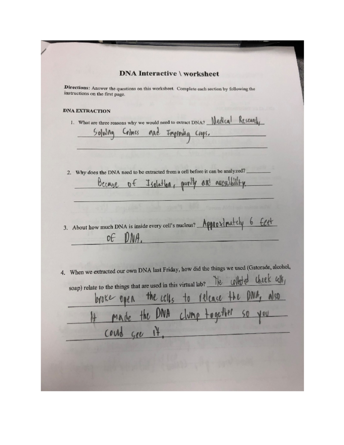 DNA+Interactive++Worksheet - DNA Interactive worksheet Directions ...