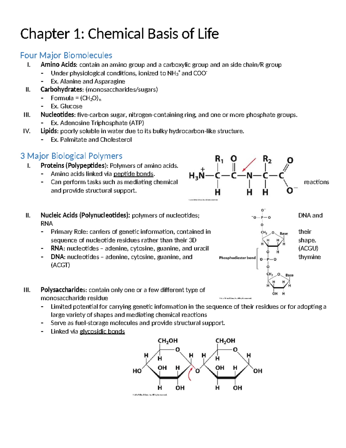 Biochemistry Review: Chapter 1 - Chemical Basis of Life (BIOL 101 ...