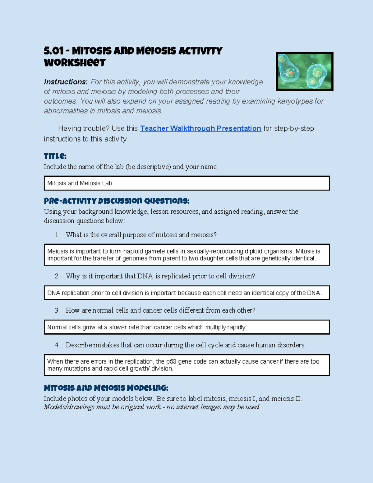 Copy of 5.01 Mitosis & Meiosis Activity Worksheet - 5 - Mitosis and ...