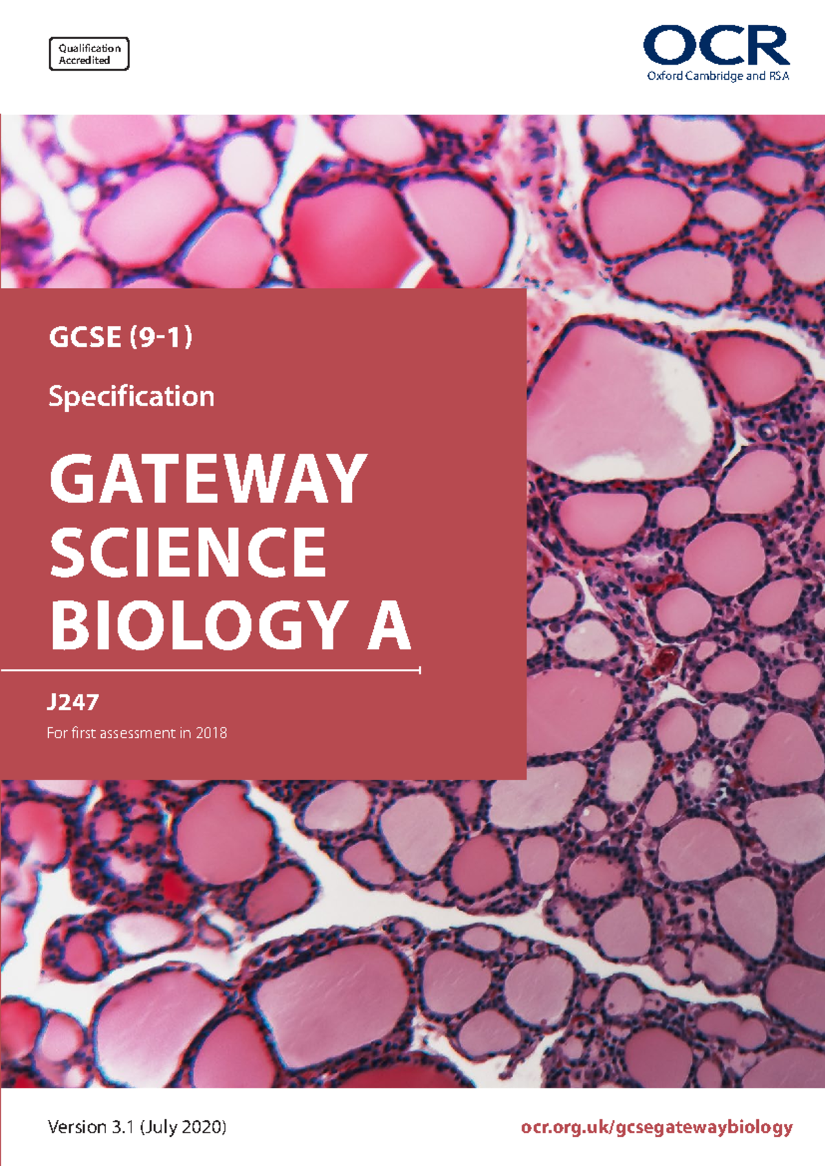 GCSE (9-1) Biology A J247 Specification - Gateway Science Overview ...
