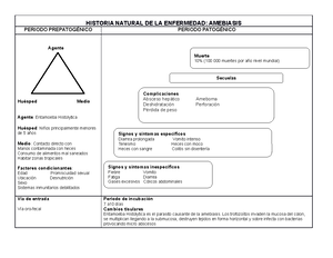 Galactogénesis y galactopoyesis - Galactogénesis y galactopoyesis ...