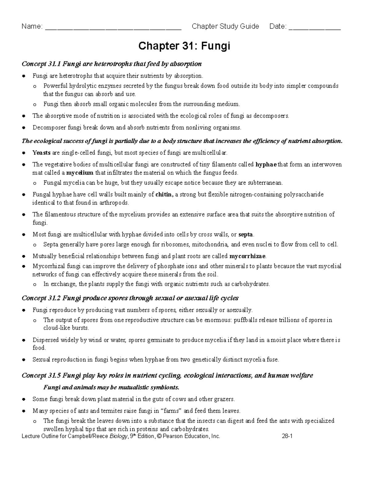 Ch 31 Fungi Study Guide - Key Concepts from Campbell Biology - Studocu