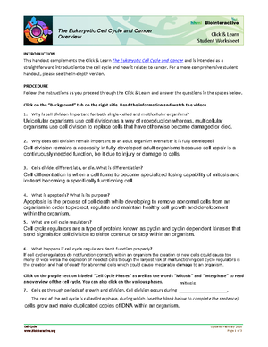 Cell Cycle Overview-Student WS-CL - The Overview Eukaryotic Cell Cycle ...