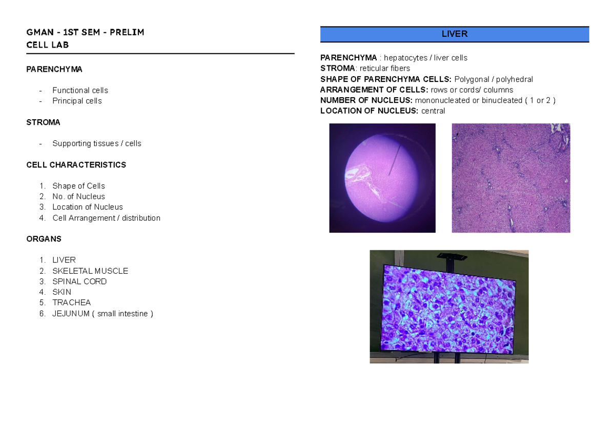 GEN Micro Anatomy - CELL LAB Study Notes (1st SEM) - Studocu