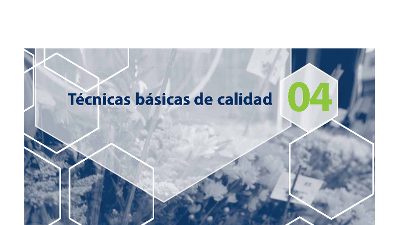 Técnicas Básicas de Calidad - 004: Herramientas y Aplicaciones - Studocu