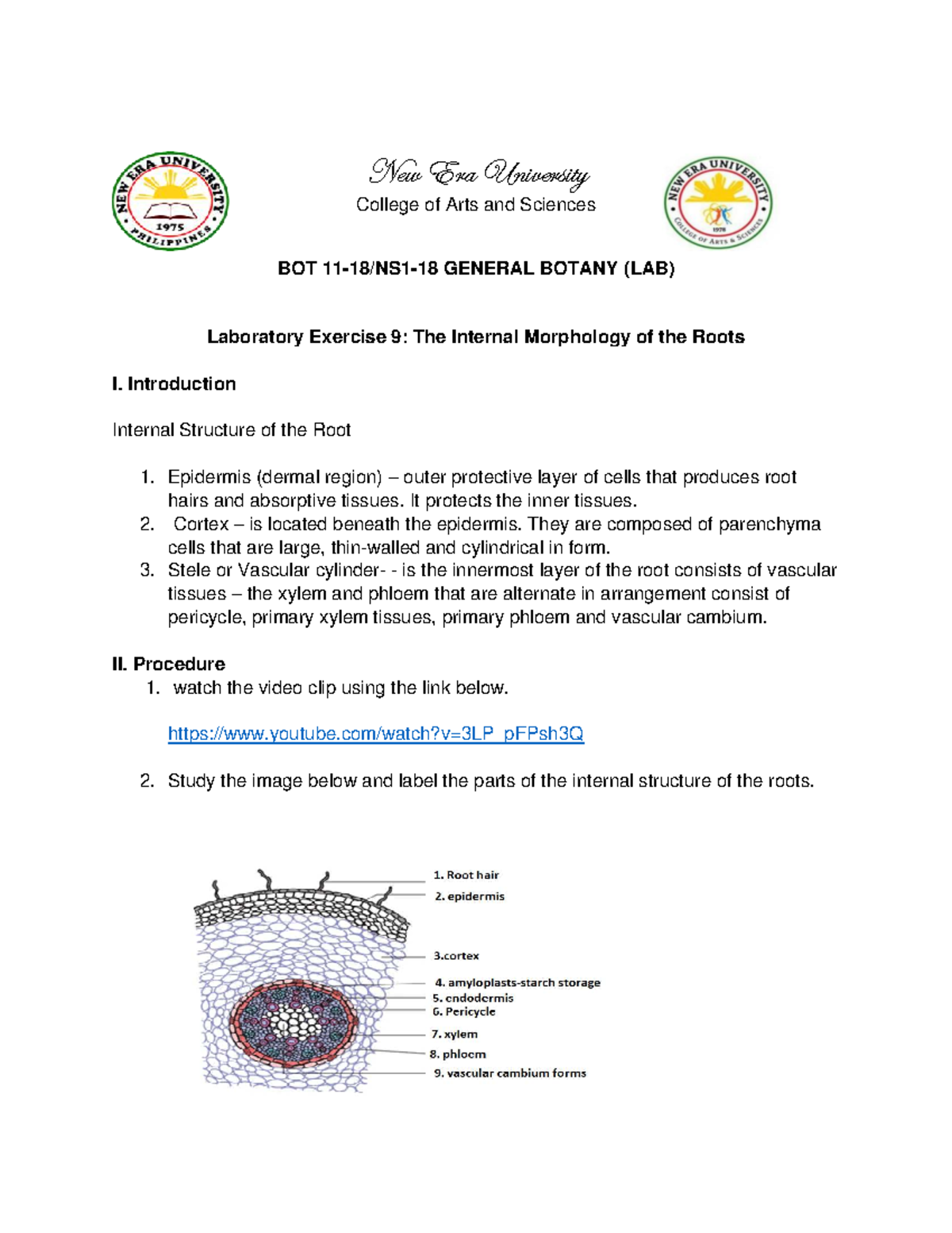 BOT 101 - Lab Exercise 9: Internal Morphology of Roots Analysis - Studocu