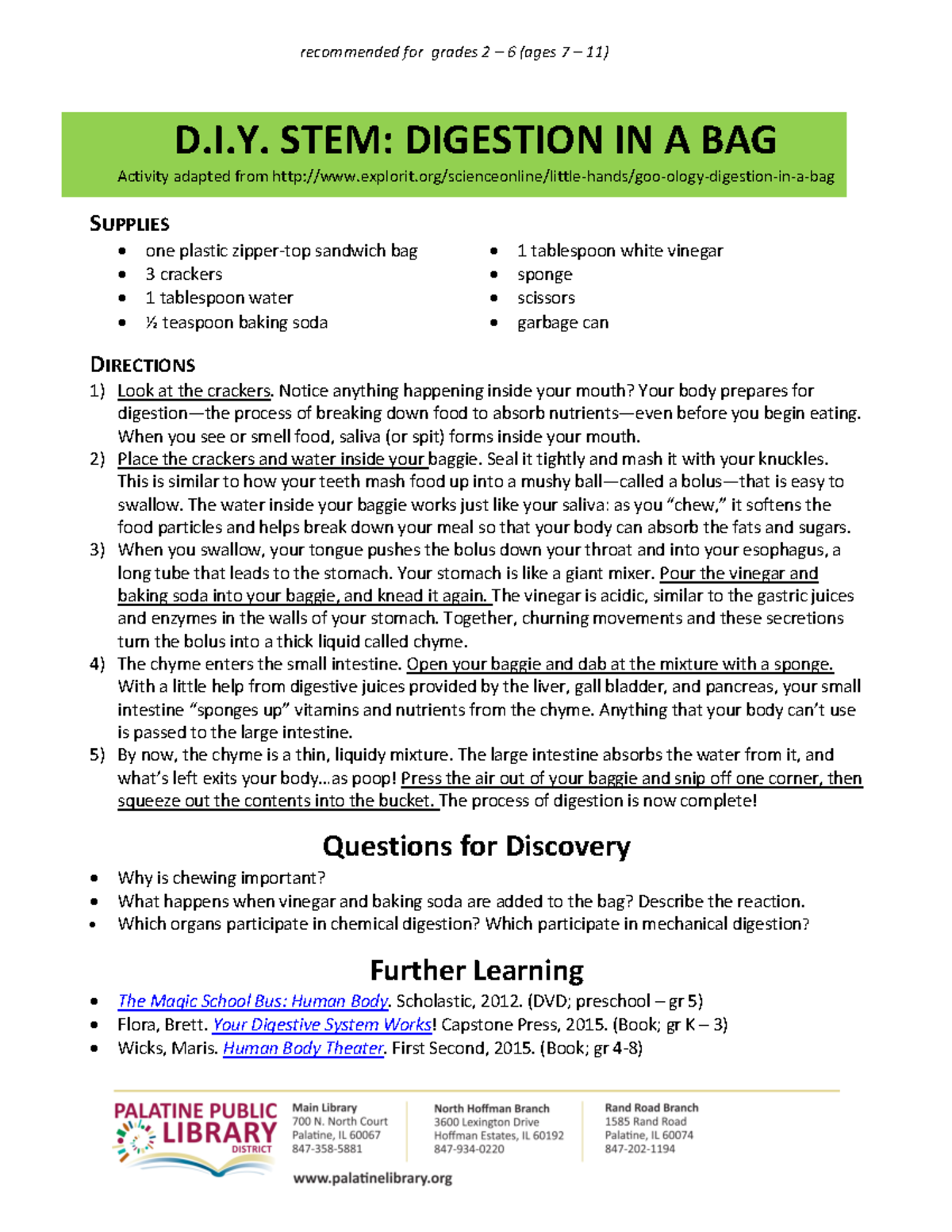 Digestive System Lab: Understanding Digestion with Activities - Studocu