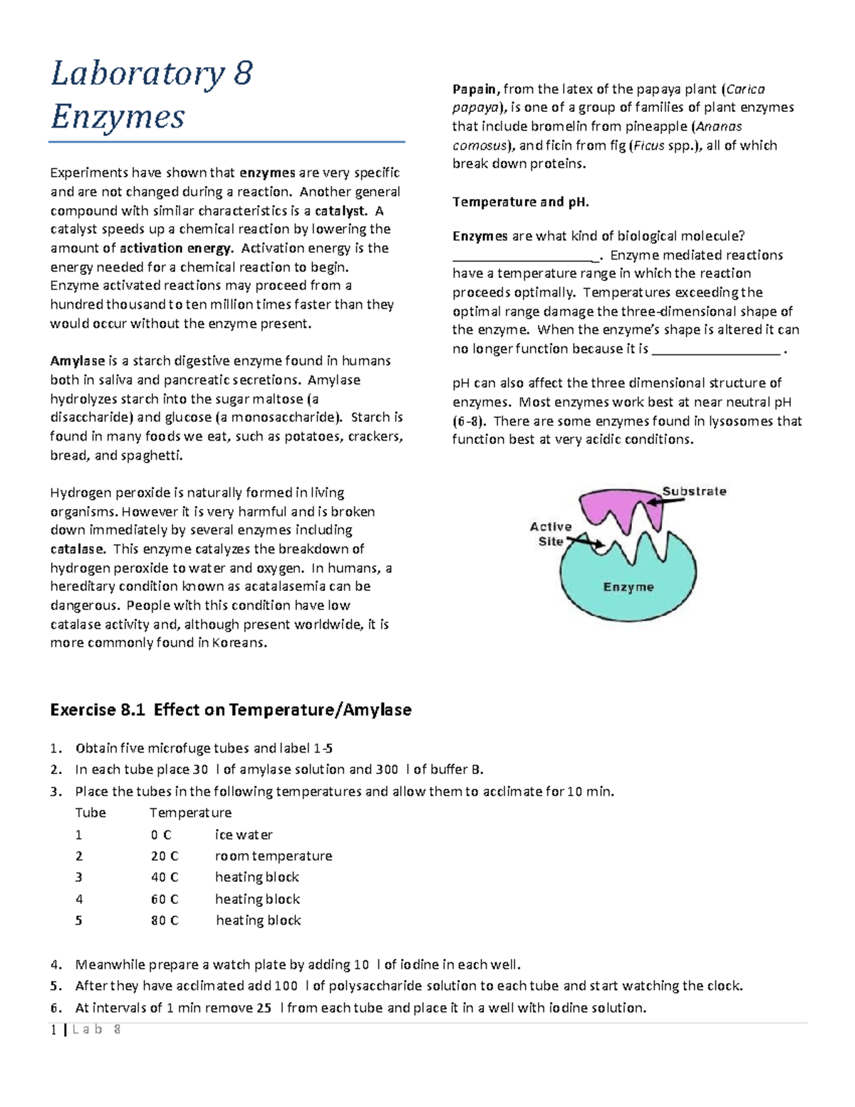 Lab 8-Enzymes - lab handout - 1 | L a b 8 E n z y m e s Laboratory 8 Enzymes Experiments have ...