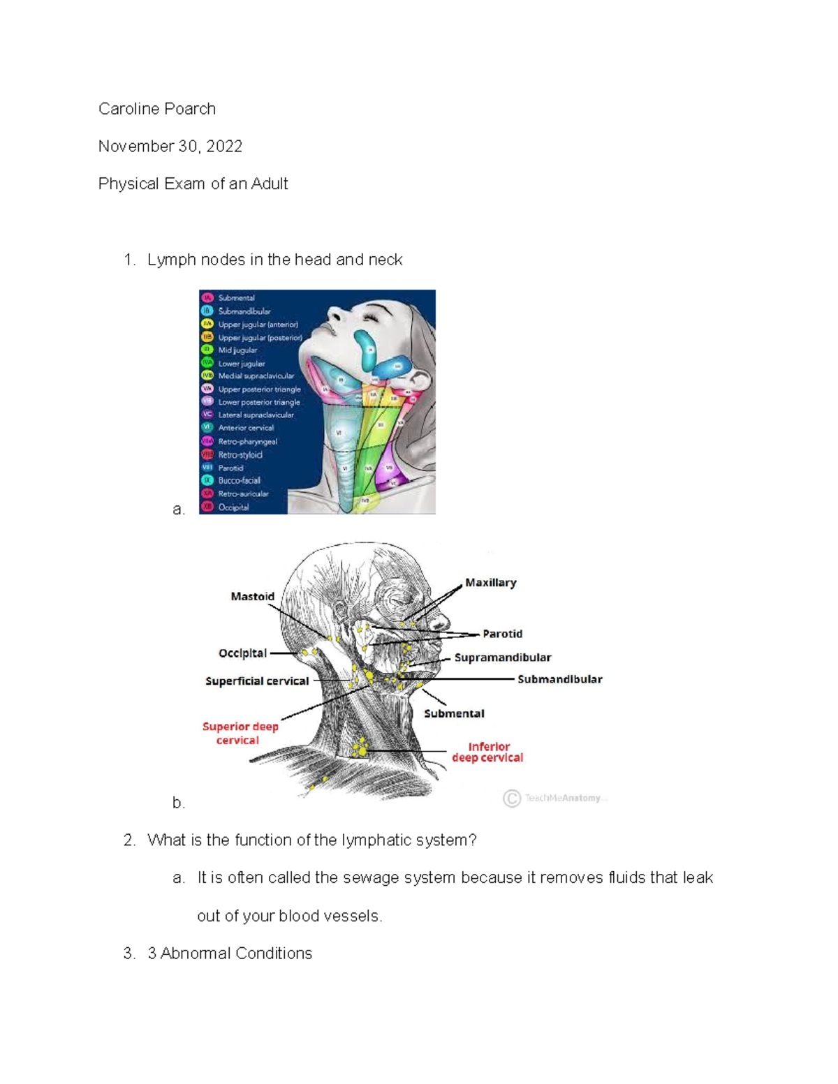 Adult Physical Examination Notes: Key Findings and Assessments - Studocu