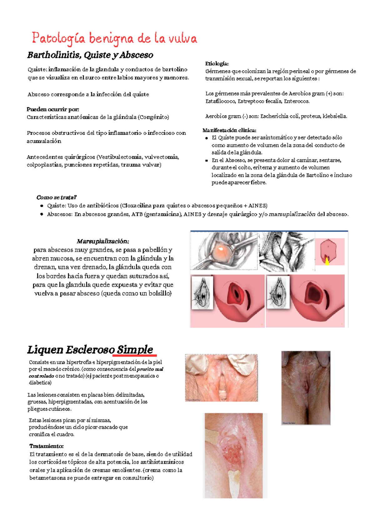 Patologías Benignas de la Vulva y Cuello Uterino - Estudio Detallado ...