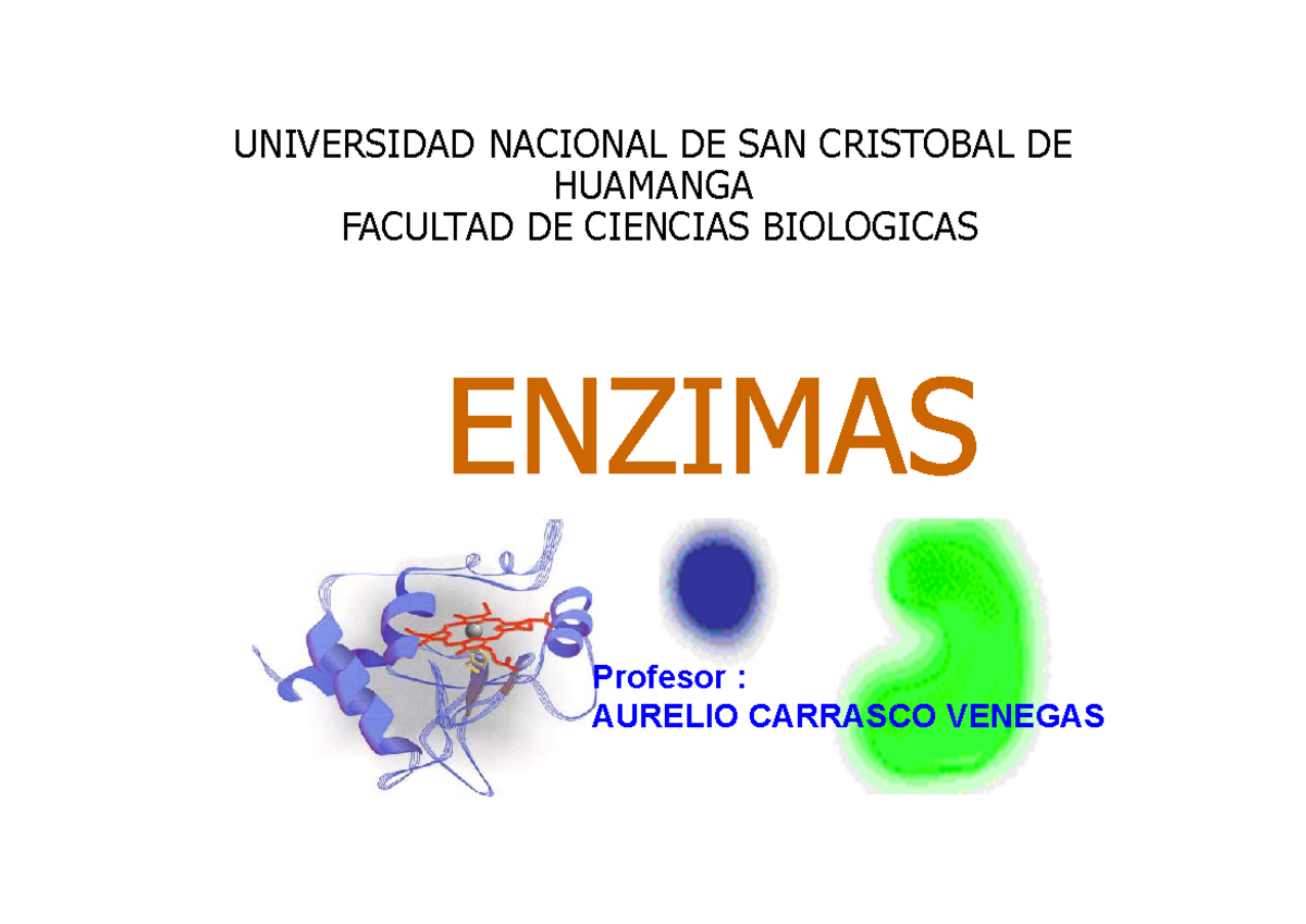 FGM 2 - Enzimas: Funciones y Especificidad en Reacciones Químicas - Studocu