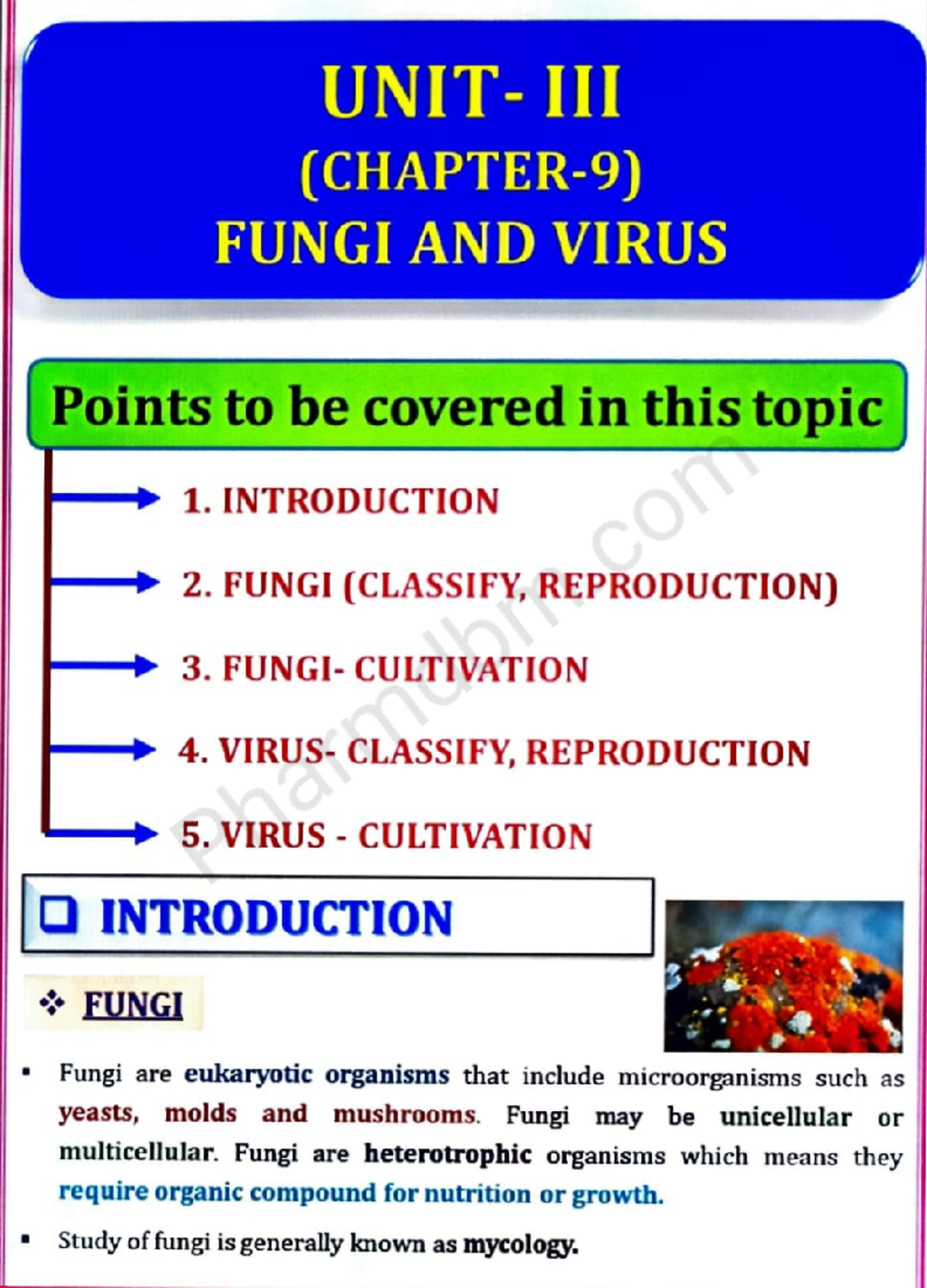 PM - Unit 3: Study Material on Fungi and Viruses - Studocu