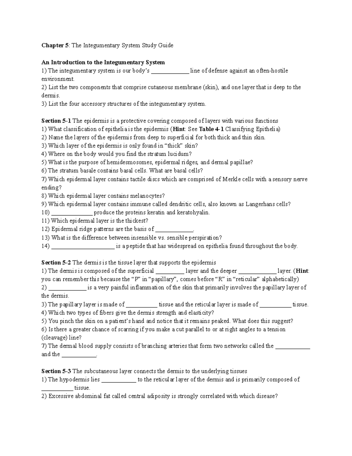 Chapter 5 The Integumentary System Study Guide - Chapter 5 : The ...