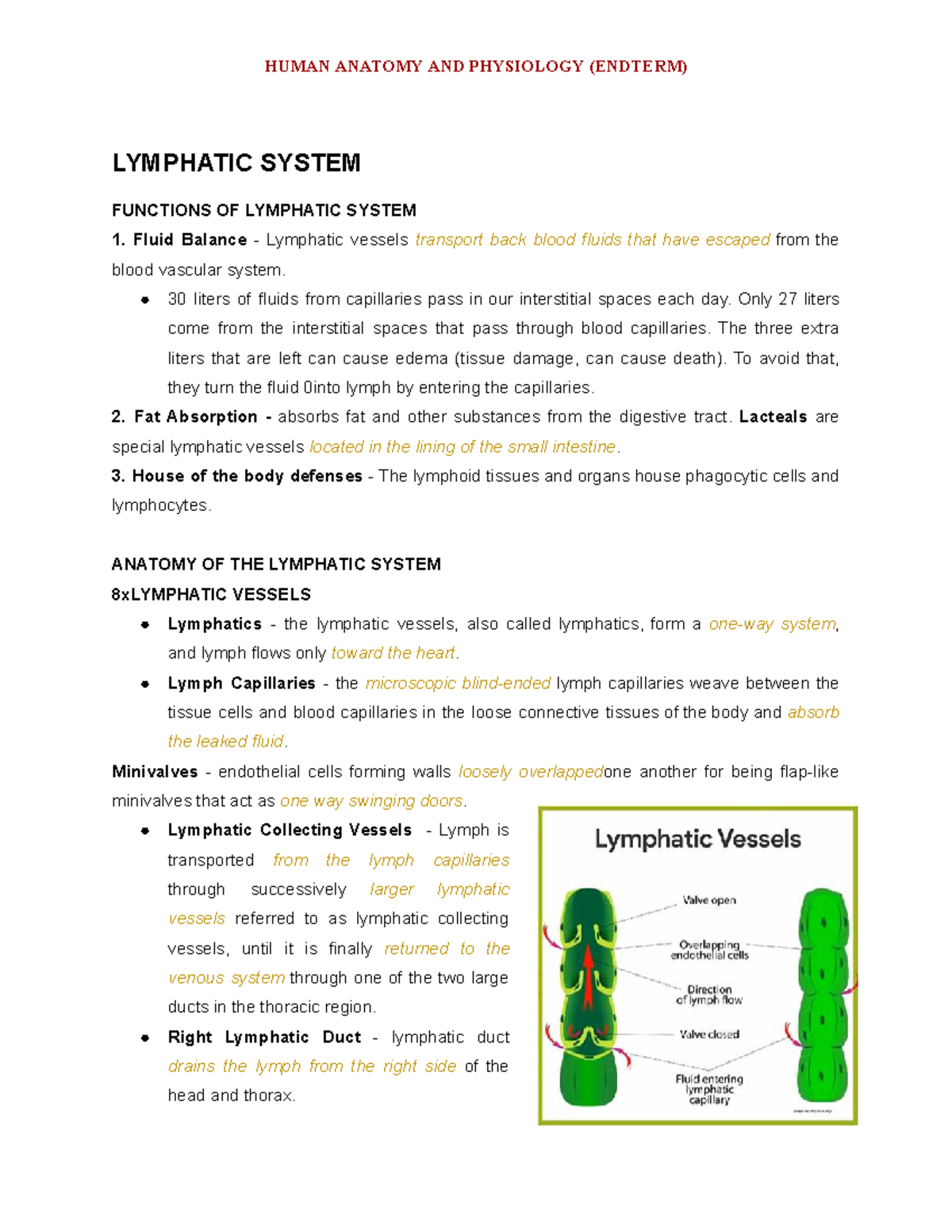 HUMAN ANATOMY AND PHYSIOLOGY (ENDTERM) Lymphatic System Overview and ...
