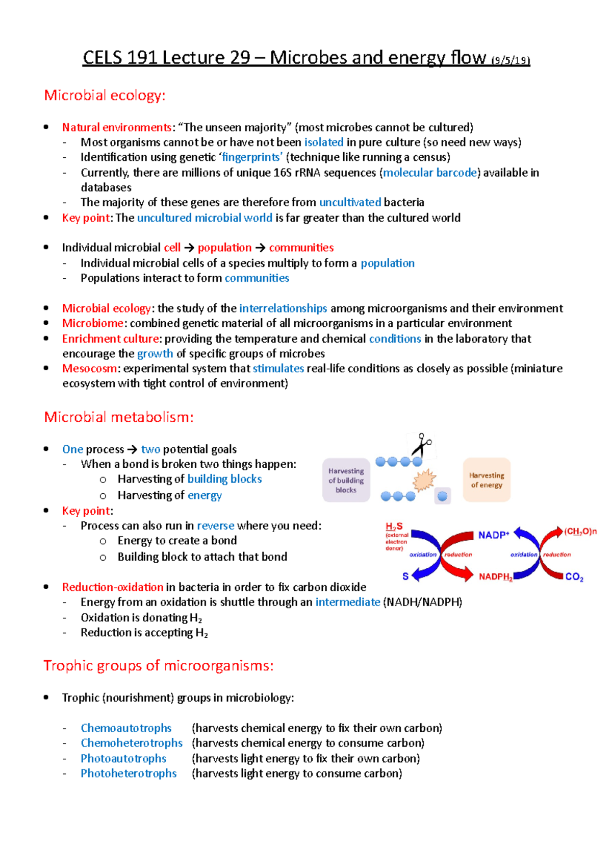 CELS 191 Lecture 29: Microbial Ecology and Energy Flow Insights - Studocu