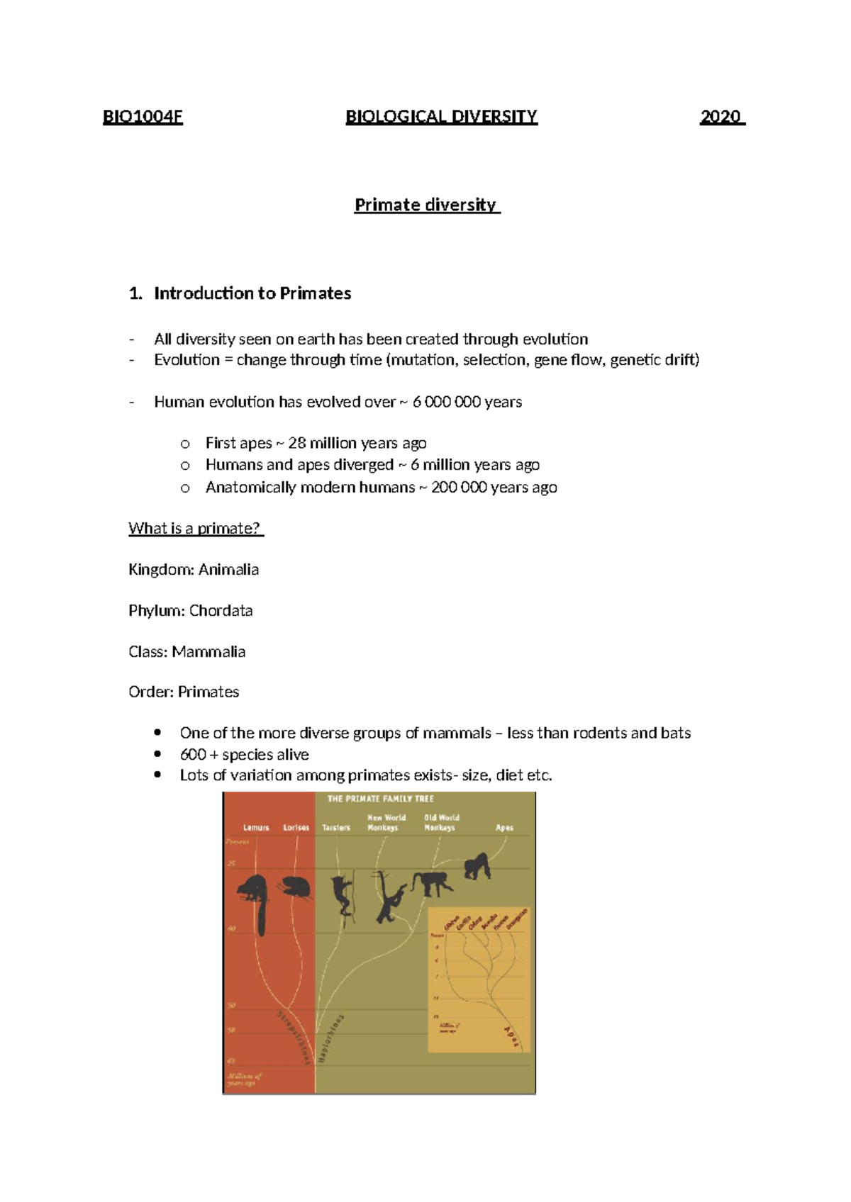 BIO1004F Primate Diversity: Evolution, Morphology, and Human Origins ...