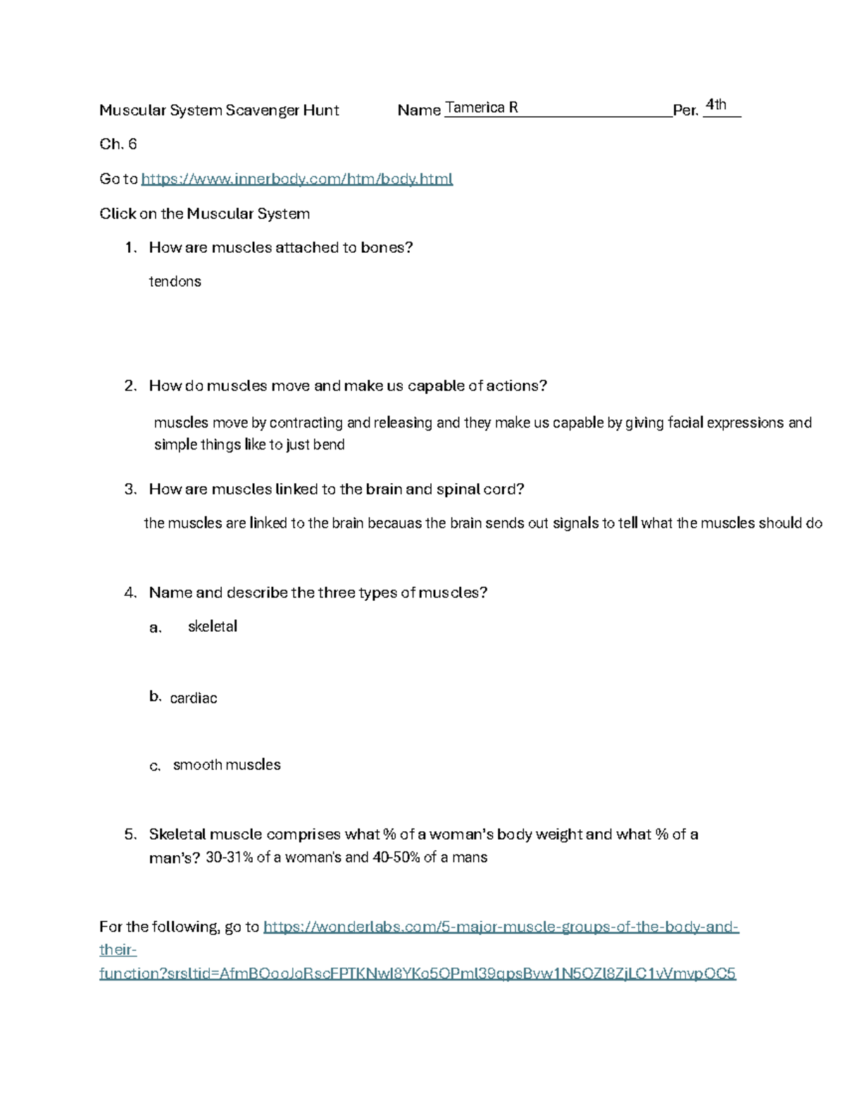 Muscular System Scavenger Hunt - Ch. 6 (4th Tamerica R) - Studocu