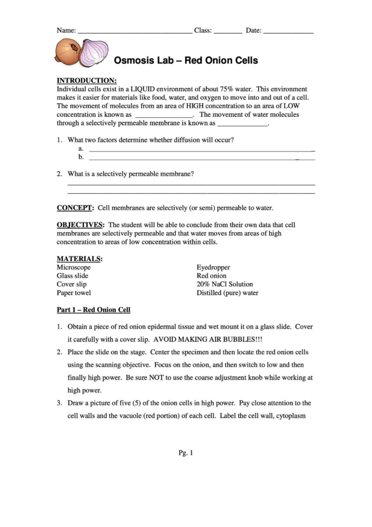 Osmosis Lab: Red Onion Cells (BIO 101) - Experiment & Observations ...