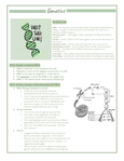 Year 10 Science - Grade: 10 - Secondary School - Studocu