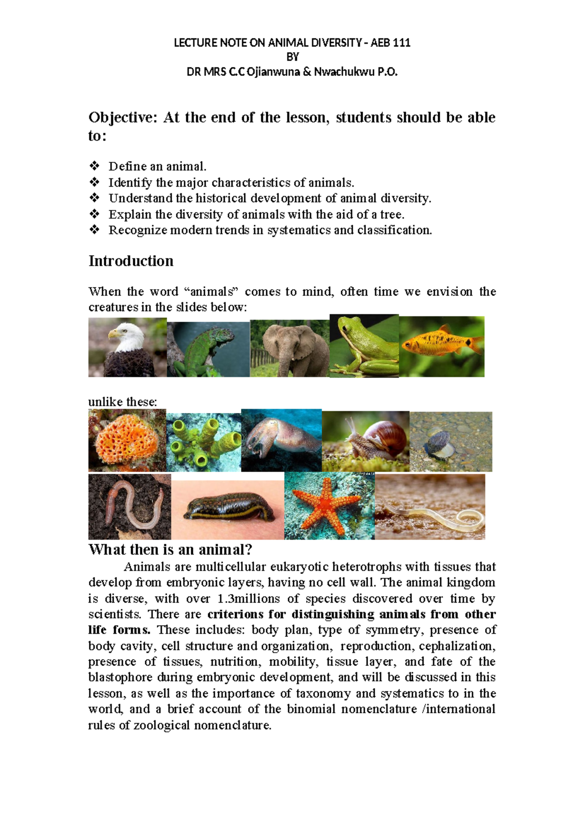 LECTURE NOTE ON ANIMAL DIVERSITY AEB ZOO111 2025 Updated - Studocu