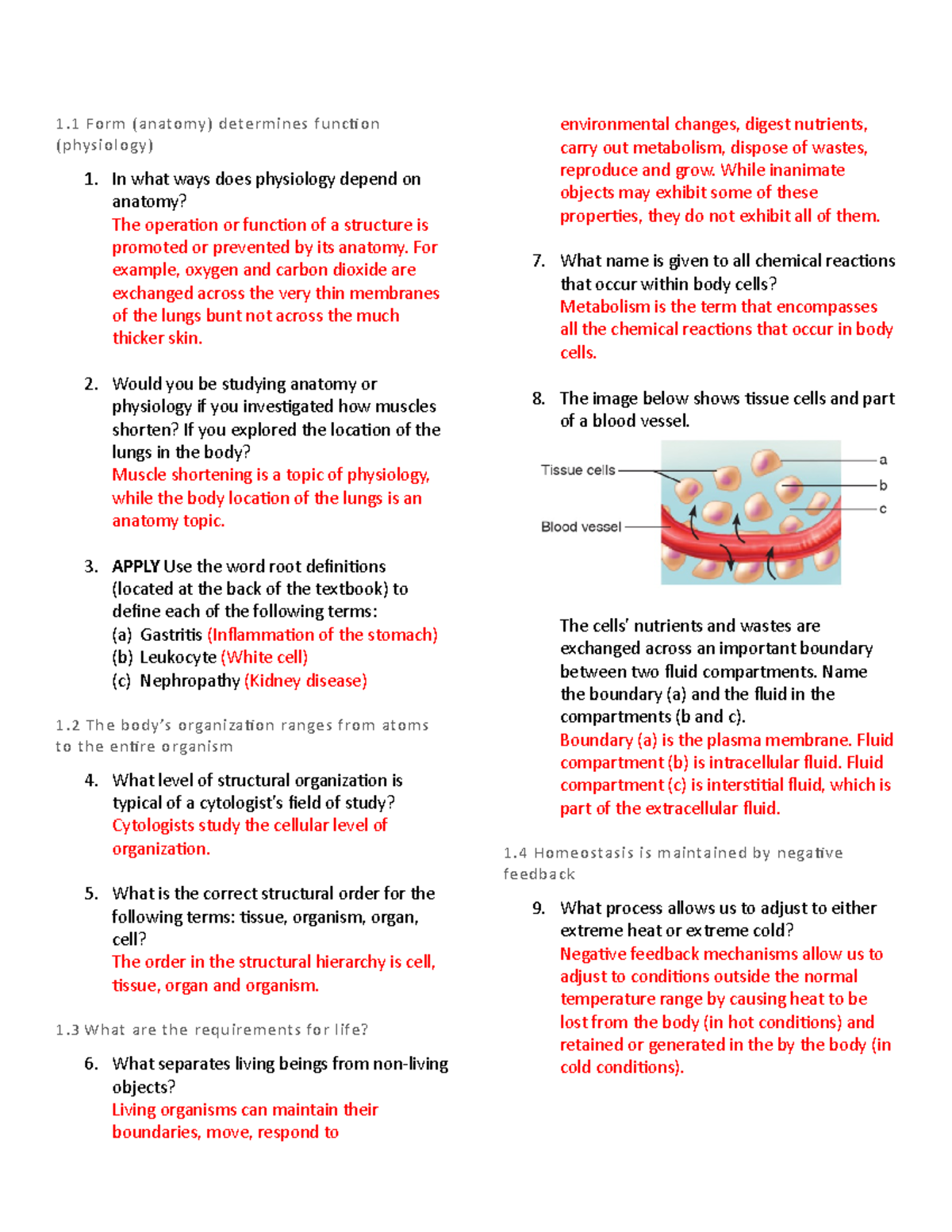 Chapter 1: Answers to Check Your Understanding Questions (BIO 101 ...