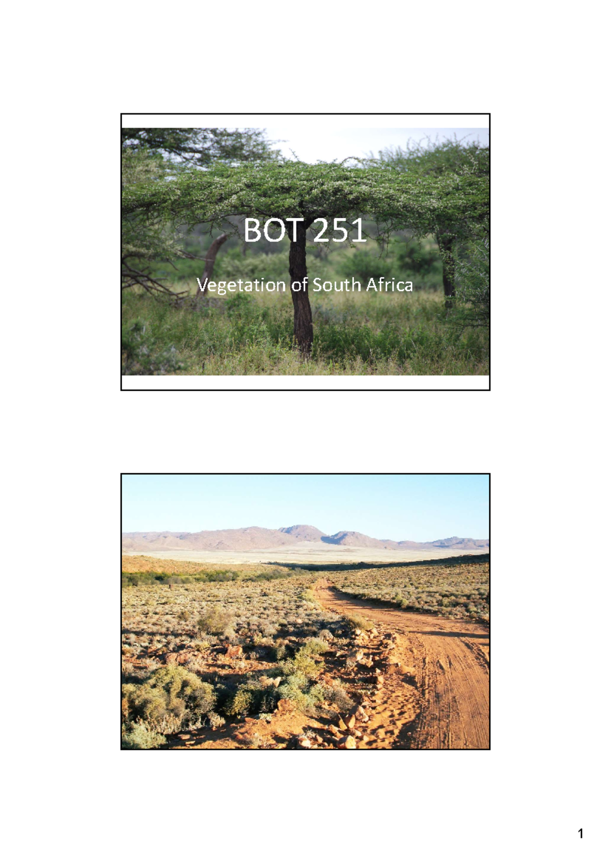 BOT 251 Study Guide: Introduction to South African Biomes - Studocu