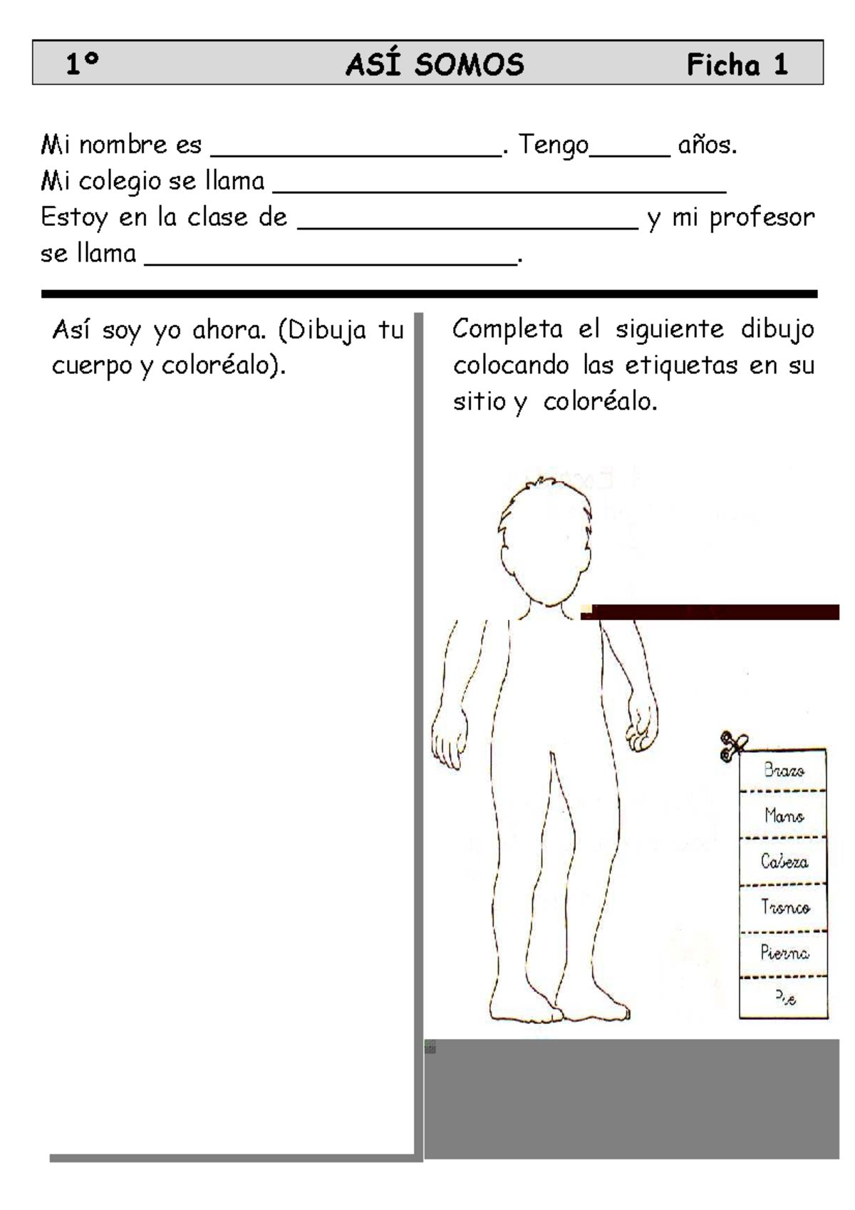 1º PARTES DEL CUERPO - Guía de Actividades y Ejercicios - Studocu