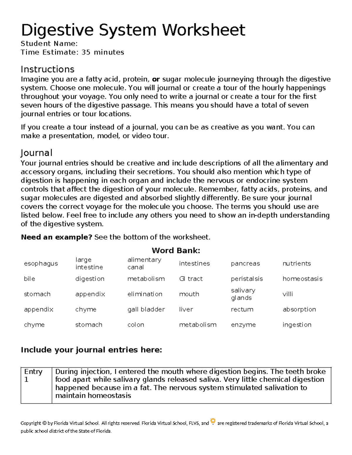 Digestive System Journey: A Fat Molecule's Voyage (Worksheet) - Studocu