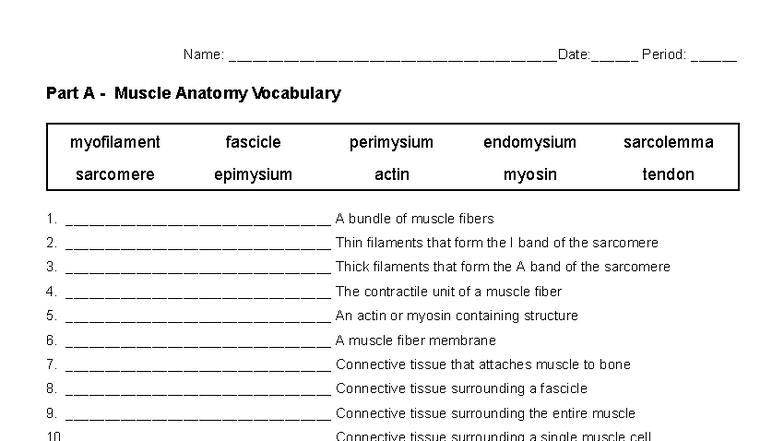 Muscle Anatomy Vocabulary & Labeling (Course Code: ANAT101) - Studocu