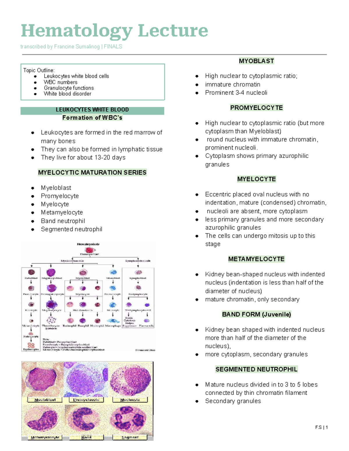 HEMA-LEC-FINALS: Comprehensive Hematology Notes on Leukocytes - Studocu