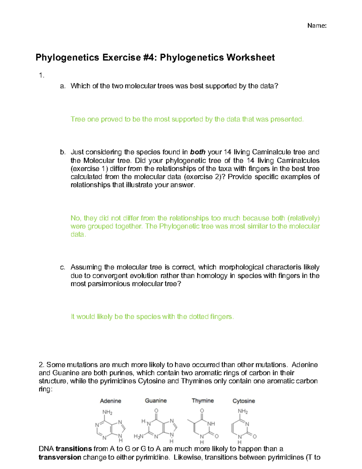 F23 1108L-Phylogenetics Worksheet #4: Molecular Trees Analysis - Studocu