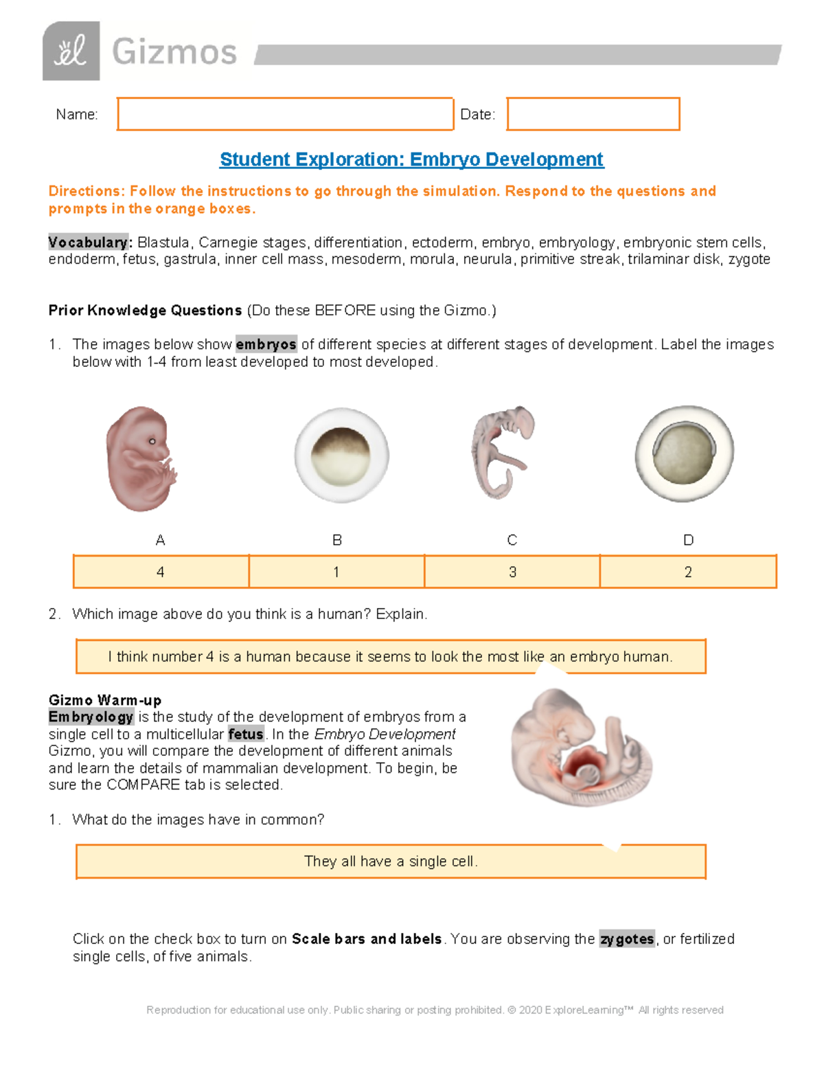 Exploring Embryo Development: Gizmo Simulation SE Activities - Studocu