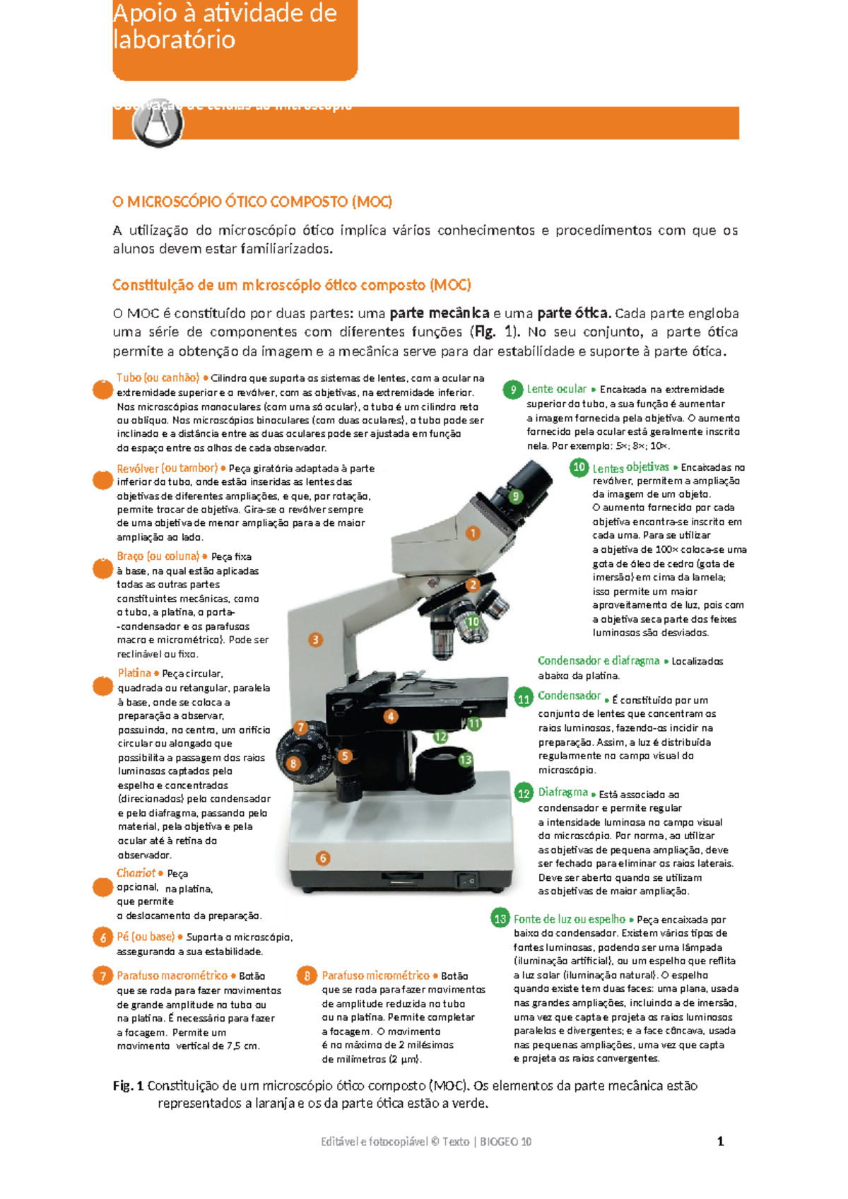 Ficha Informativa sobre o Microscópio Óptico Composto (MOC) - Studocu