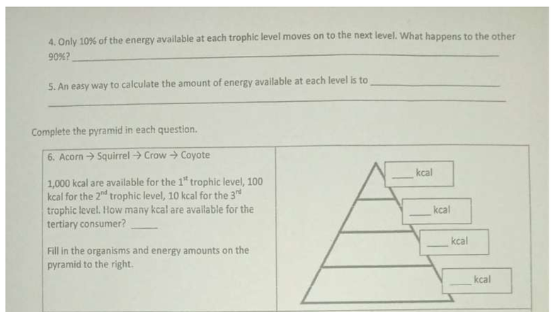 Sci HW: Energy Transfer in Trophic Levels and Pyramids - Studocu