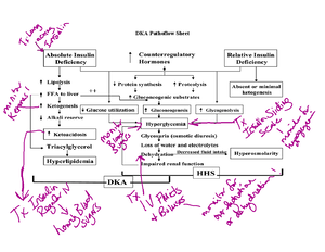 Lecture Notes on Human Anatomy: Abdominal Viscera and Thoracic Cavity ...